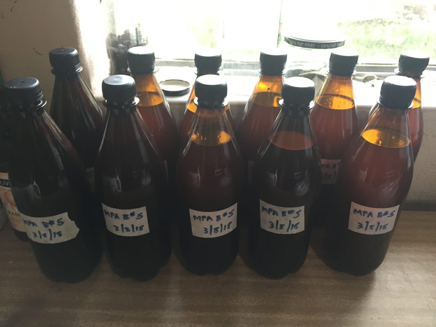 Adding extra hops, bitterness and flavour to a Coopers Northwest Pale Ale